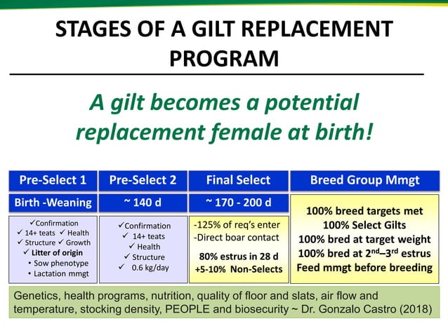 Jennifer Patterson - Improving Efficiencies of Replacement Gilt ...