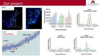 Dr. Talita Resende - Organoids as an invitro model for enteric diseases ...
