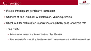 Dr. Talita Resende - Organoids as an invitro model for enteric diseases ...