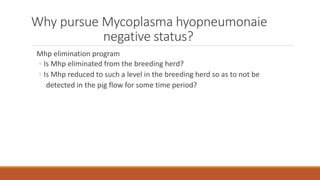 Dr. Mark Schwartz - A System Approach to Mycoplasma hyopneumoniae ...