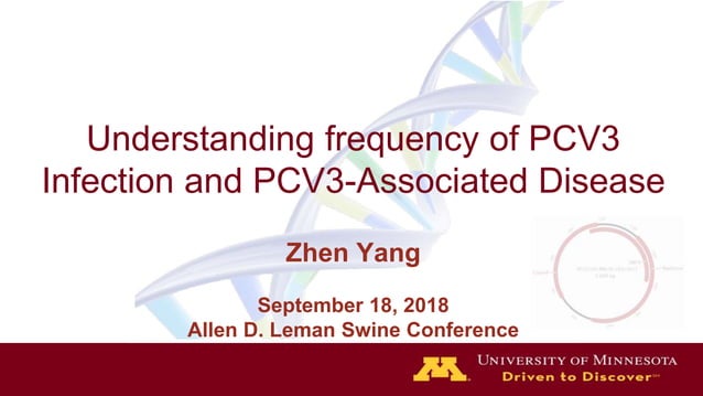 Dr. Zhen Yang - Understanding frequency of PCV3 Infection and PCV3-Associated Disease | PPTX