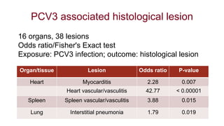 Dr. Zhen Yang - Understanding frequency of PCV3 Infection and PCV3 ...