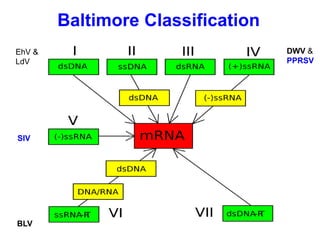 Dr. Declan Schroeder - Molecular Diagnostics: Present and Future | PPT