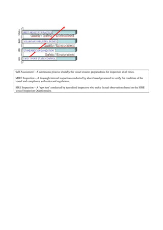 Vetting Inspections - Managing Performance through Self Regulati | PDF