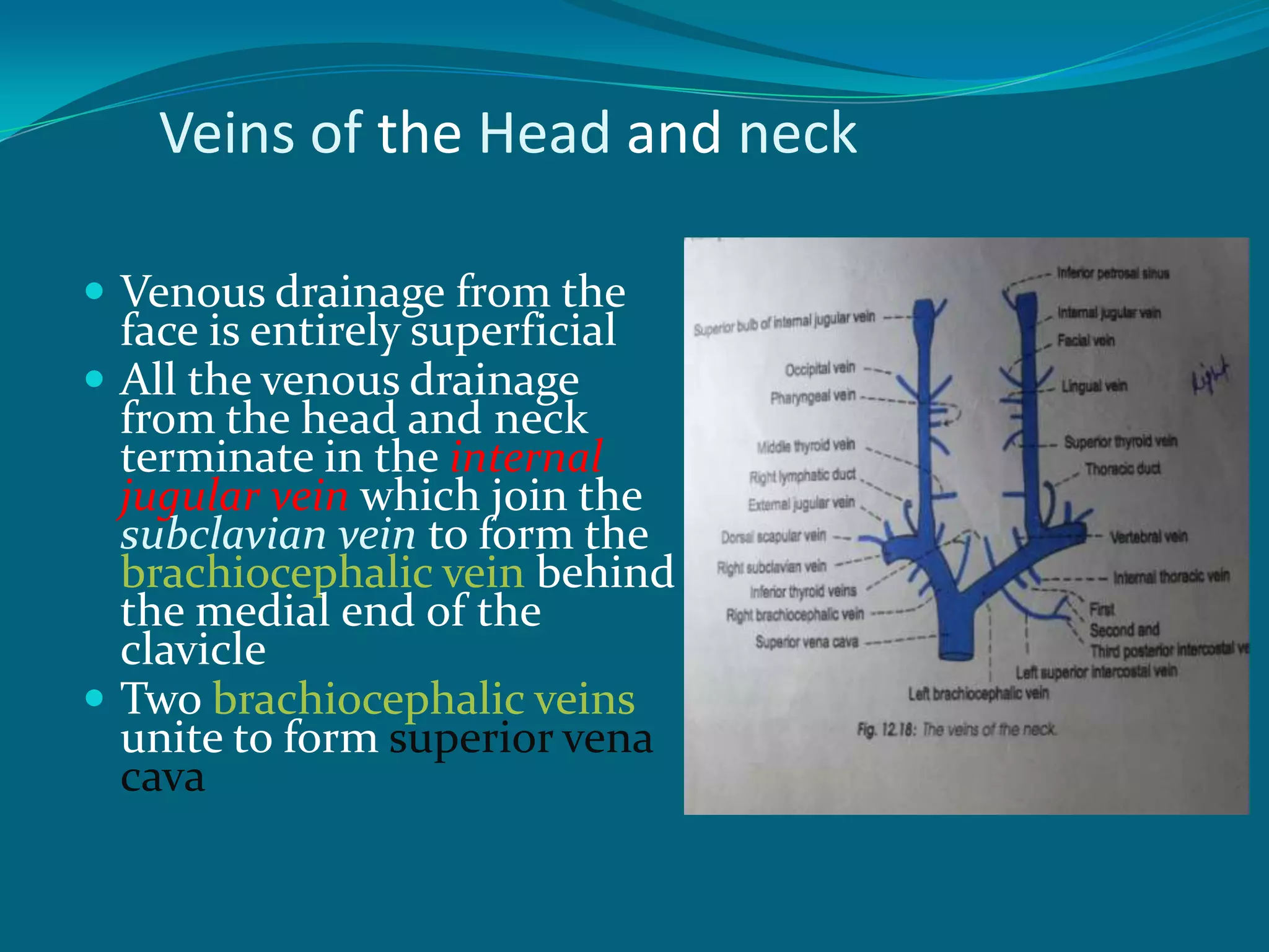 venous supply of head & neck | PPTX