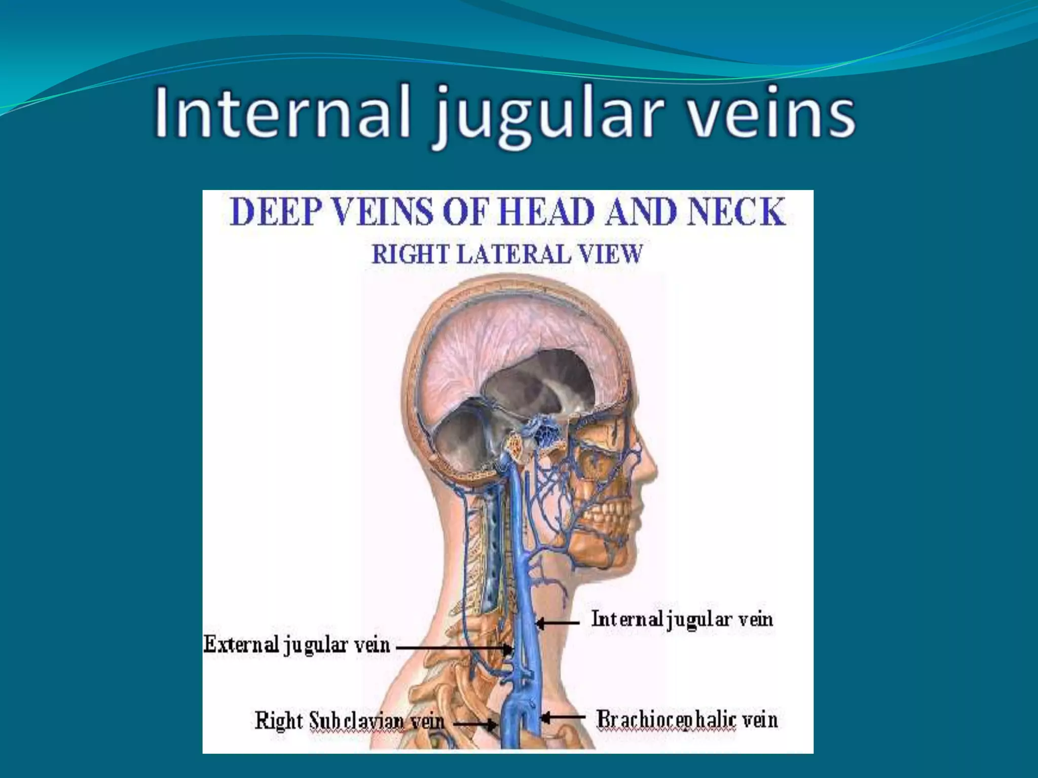 venous supply of head & neck | PPTX