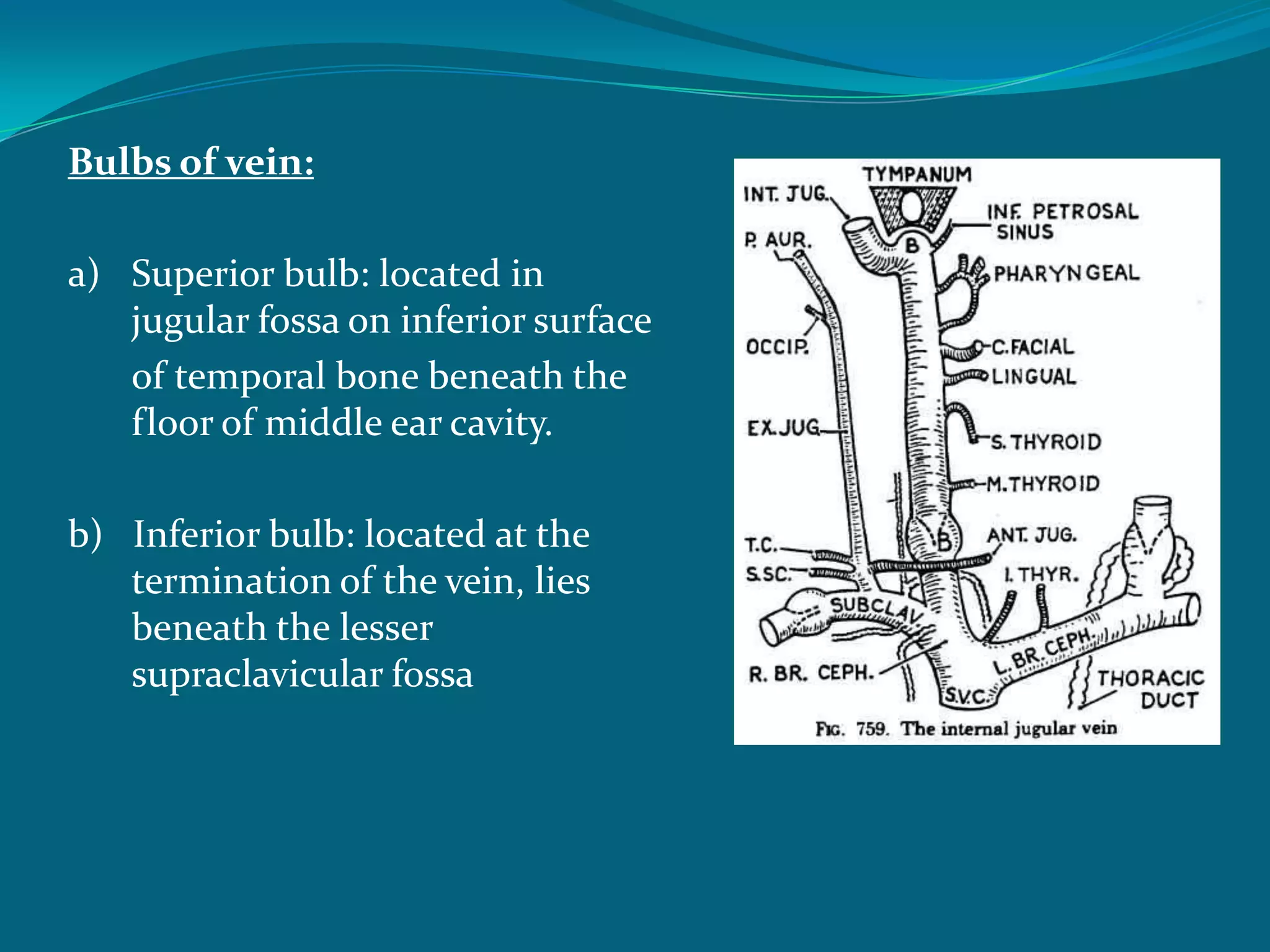 venous supply of head & neck | PPTX