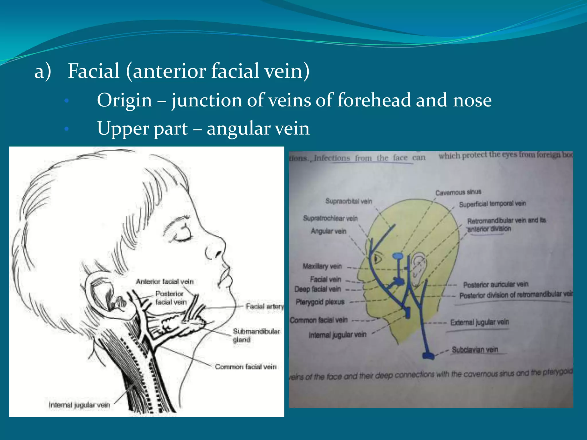 venous supply of head & neck | PPTX