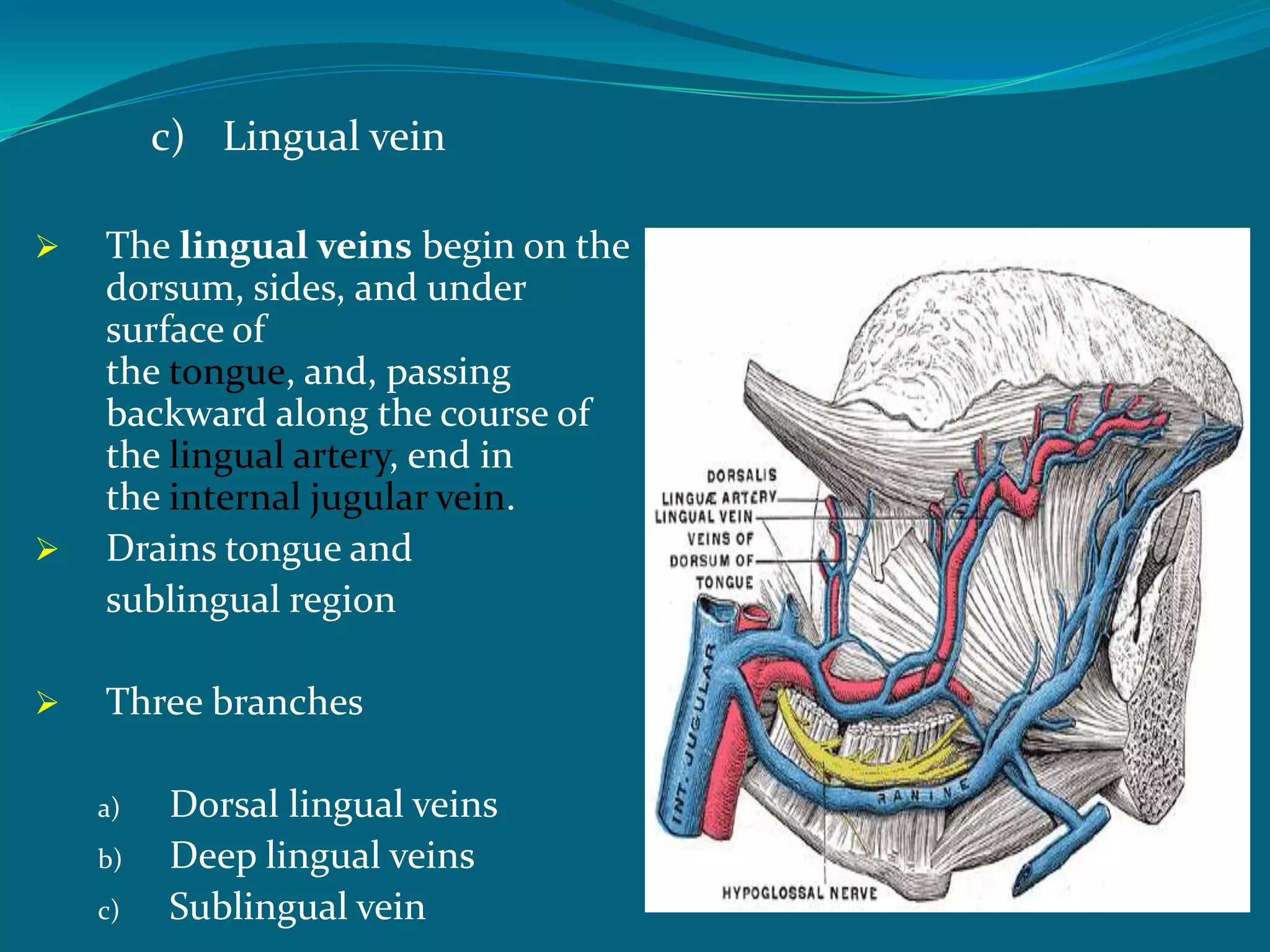 venous supply of head & neck | PPTX