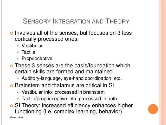 Sensory Integration and Processing