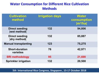 1810 - Rice Water Management and Reduction in Iraq | PPT