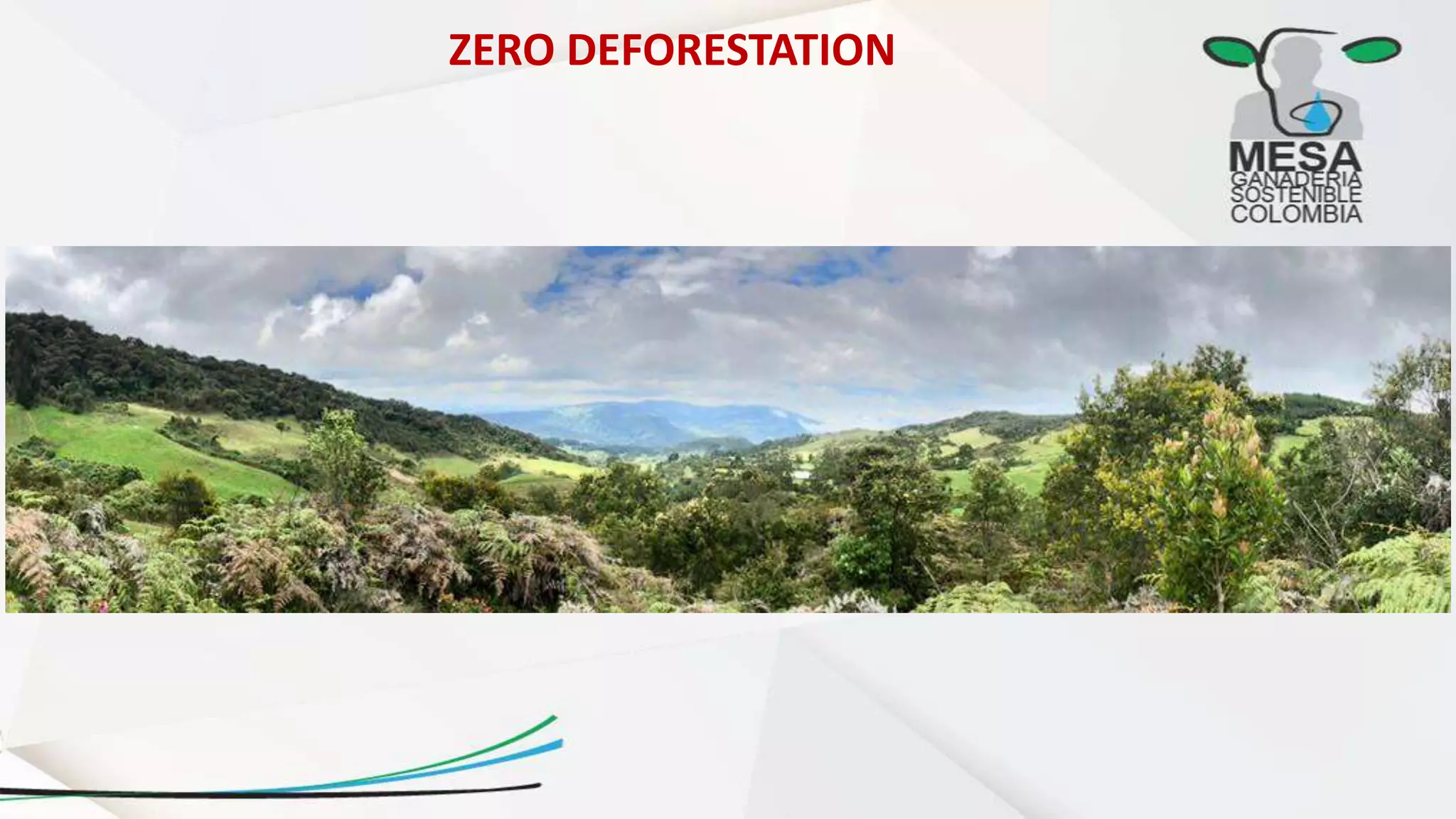 Juan Carlos Botero - Colombia - Sustainable Beef in Action: Regional ...