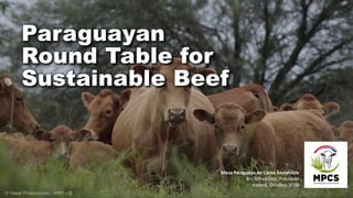 Alfred Fast Schmidt - Paraguay - Sustainable Beef in Action: Regional ...