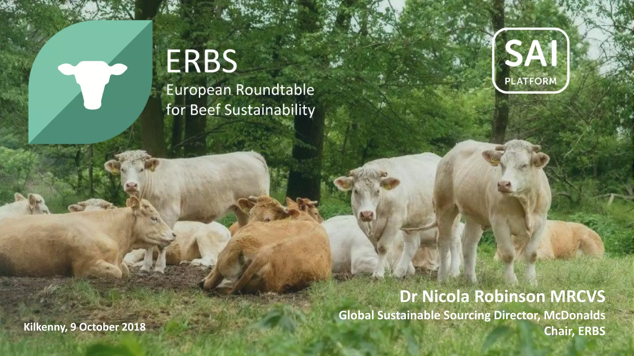 Nicola Robinson - European Roundtable for Beef Sustainability | PPT
