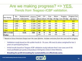 Kevin Downing - How ICBF And Cattle Genetics Are Changing The ...