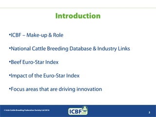 Kevin Downing - How ICBF And Cattle Genetics Are Changing The ...