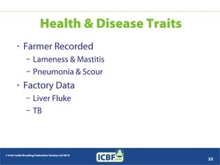 Kevin Downing - How ICBF And Cattle Genetics Are Changing The ...