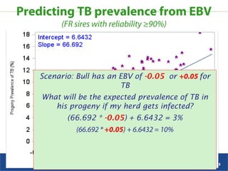 Kevin Downing - How ICBF And Cattle Genetics Are Changing The ...