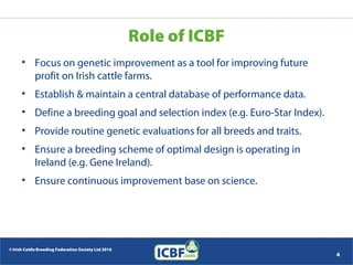 Kevin Downing - How ICBF And Cattle Genetics Are Changing The ...