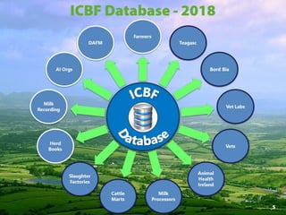 Kevin Downing - How ICBF And Cattle Genetics Are Changing The ...