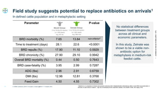 Dr. Zsolt Szeidemann - Innovation In Action | PPT | Free Download