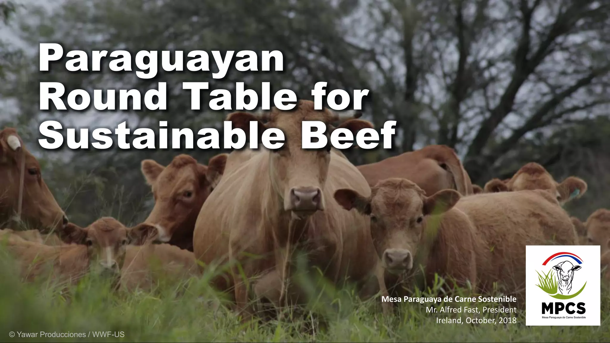 Alfred Fast Schmidt - Global Sustainability Impacts - Paraguay | PPTX