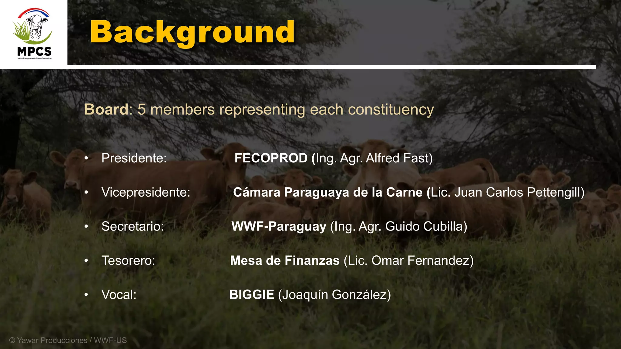 Alfred Fast Schmidt - Global Sustainability Impacts - Paraguay | PPTX