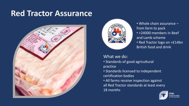 Estelle Rabourdin and Jess Sloss - Global Sustainability Impacts ...