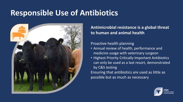 Estelle Rabourdin and Jess Sloss - Global Sustainability Impacts ...