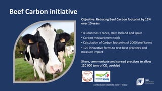 Estelle Rabourdin and Jess Sloss - Global Sustainability Impacts ...