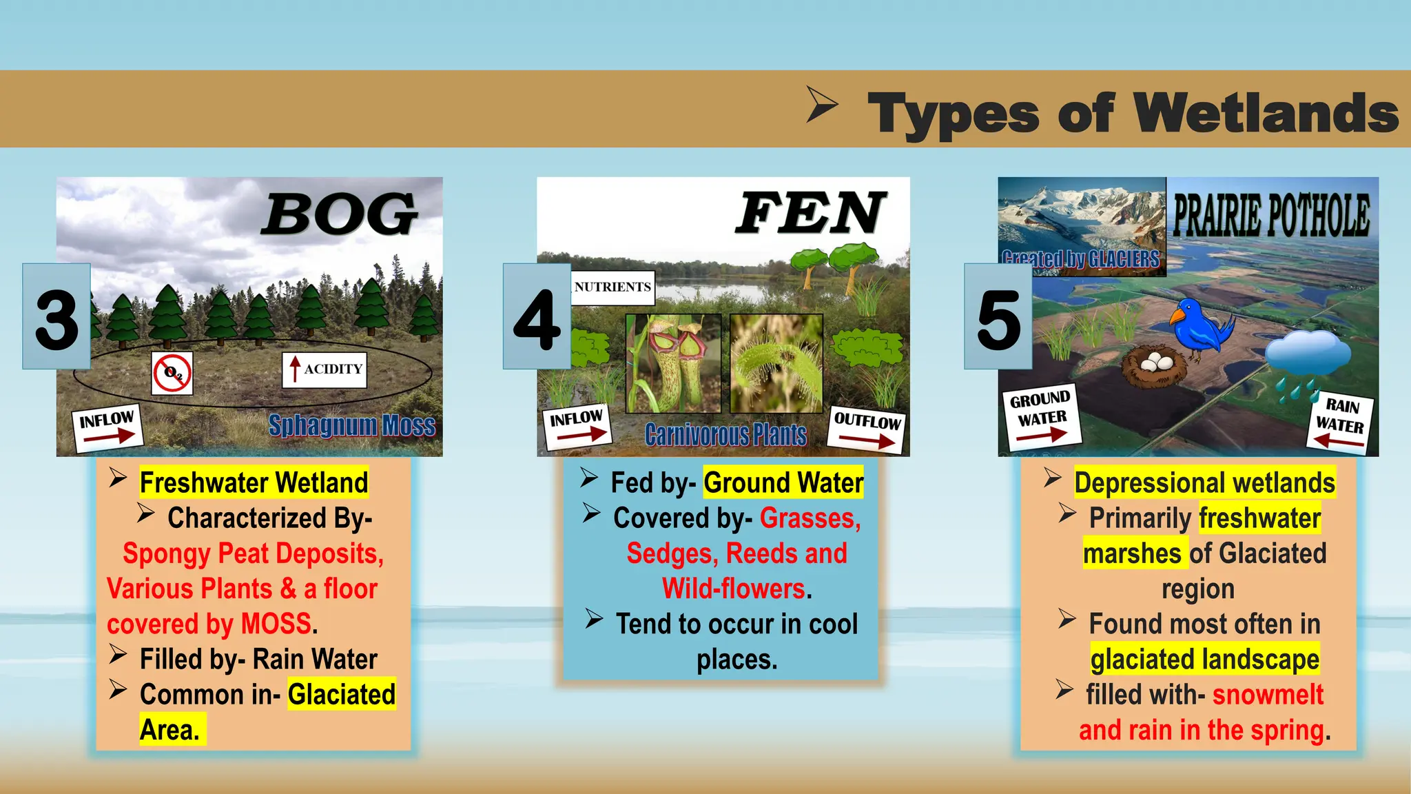 WETLAND RESOURCE MANAGEMENT- Course ppt slides | PPTX