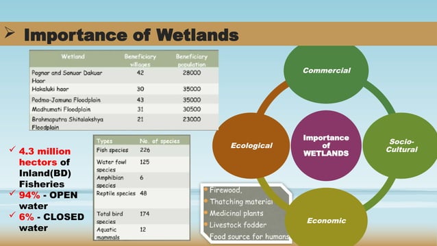 WETLAND RESOURCE MANAGEMENT- Course ppt slides | PPT