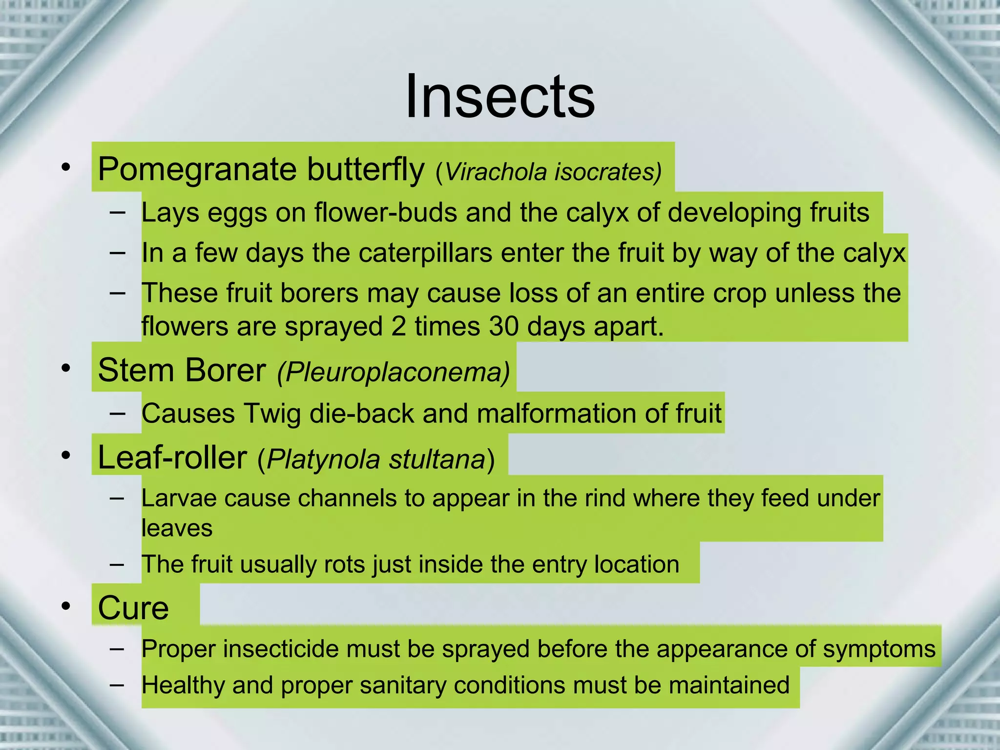 Basic Production Technology of Pomegranate | PPT