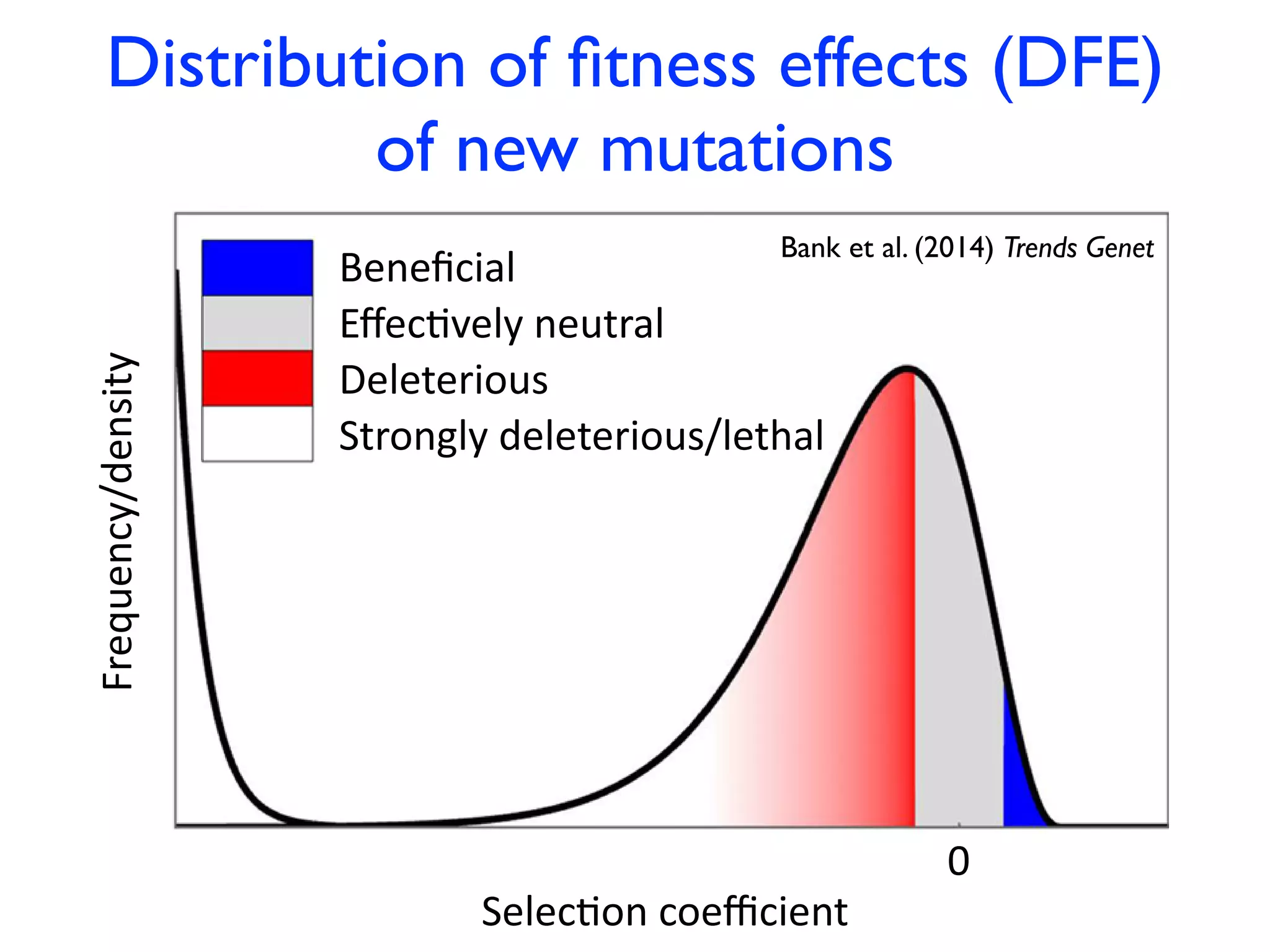 DFEnitely Different: The joint distribution of mutation fitness effects ...