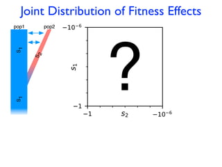 DFEnitely Different: The joint distribution of mutation fitness effects ...