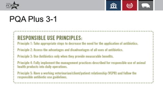 Dr. Liz Wagstrom - Antibiotic Stewardship in Pork Production | PPT