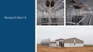 Dr. Joel Nerem - Pipestone Antibiotic Resistance Tracker | PPT