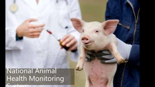 Dr. Charles P. Fossler - 2017 National Animal Health Monitoring System ...