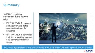 Application-optimized 100G demarcation and aggregation | PDF