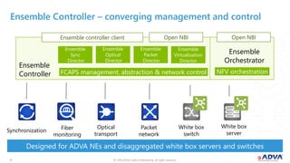 Transforming network operations with Ensemble Controller | PDF | Computer Networking | Computing