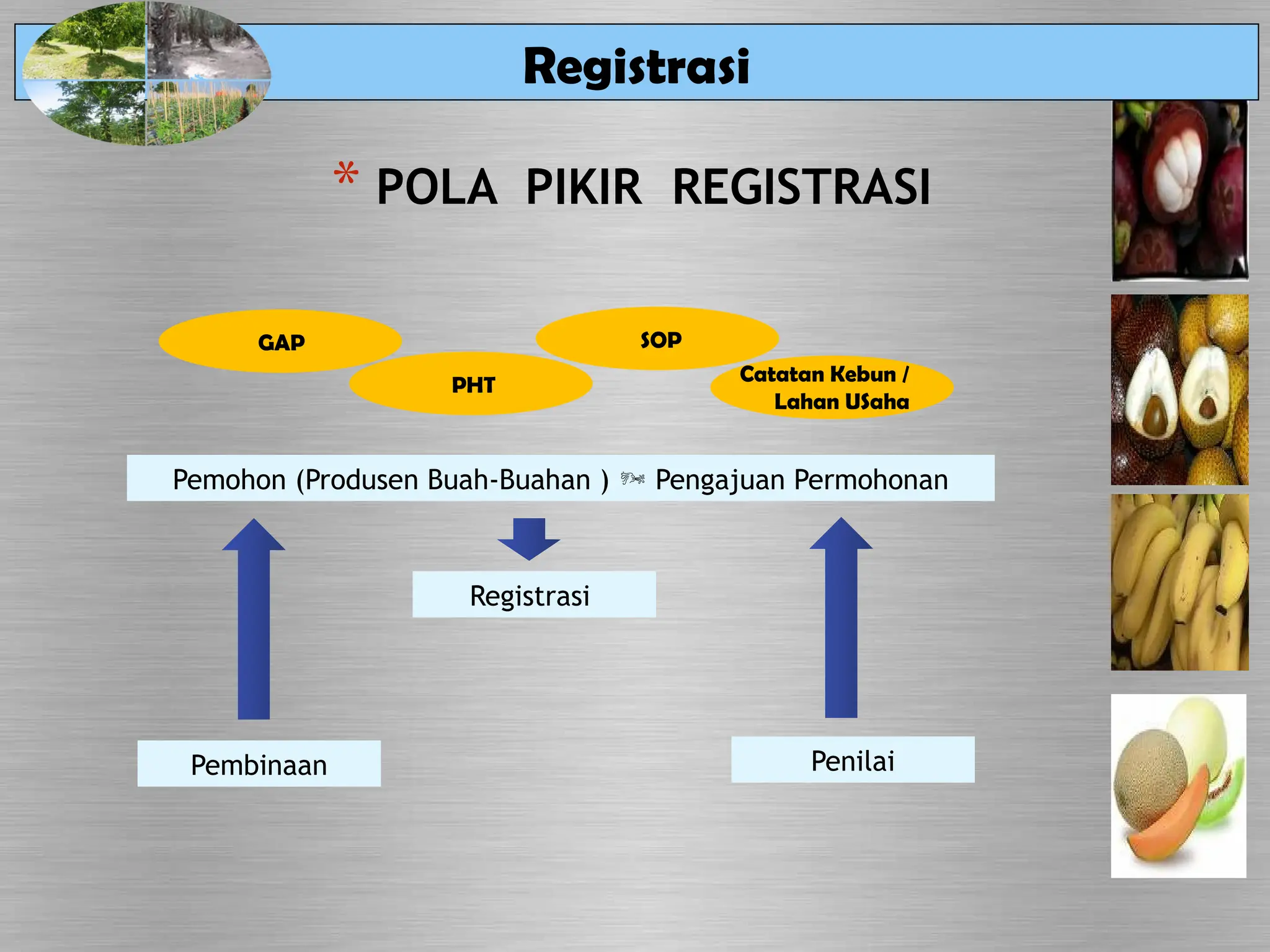 GAP Untuk Buah dan Sayur_ Khairul Amri .pptx