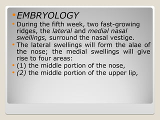 181260154-cleft-lip-and-palate-ppt-orthodontics.ppt