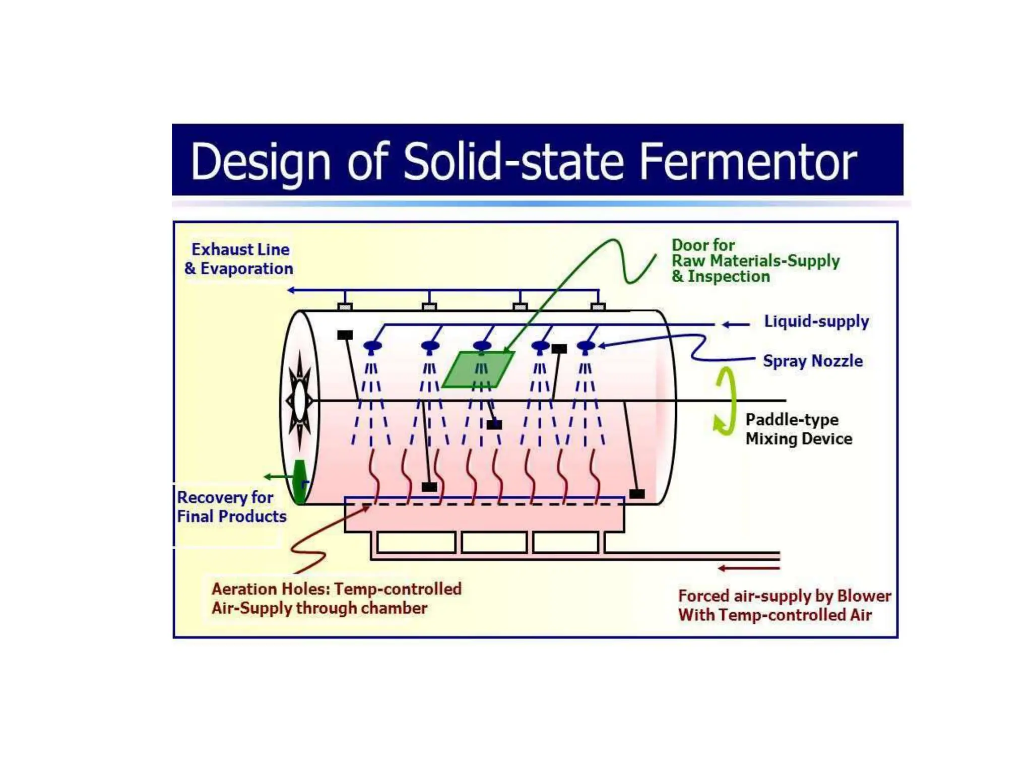 1814_fermentation process.pptx