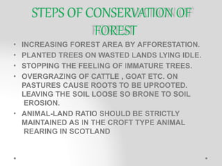 1816225357-forestconservation-180111113717.pptx