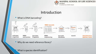 creation of DNA barcoding database with website | PPTX