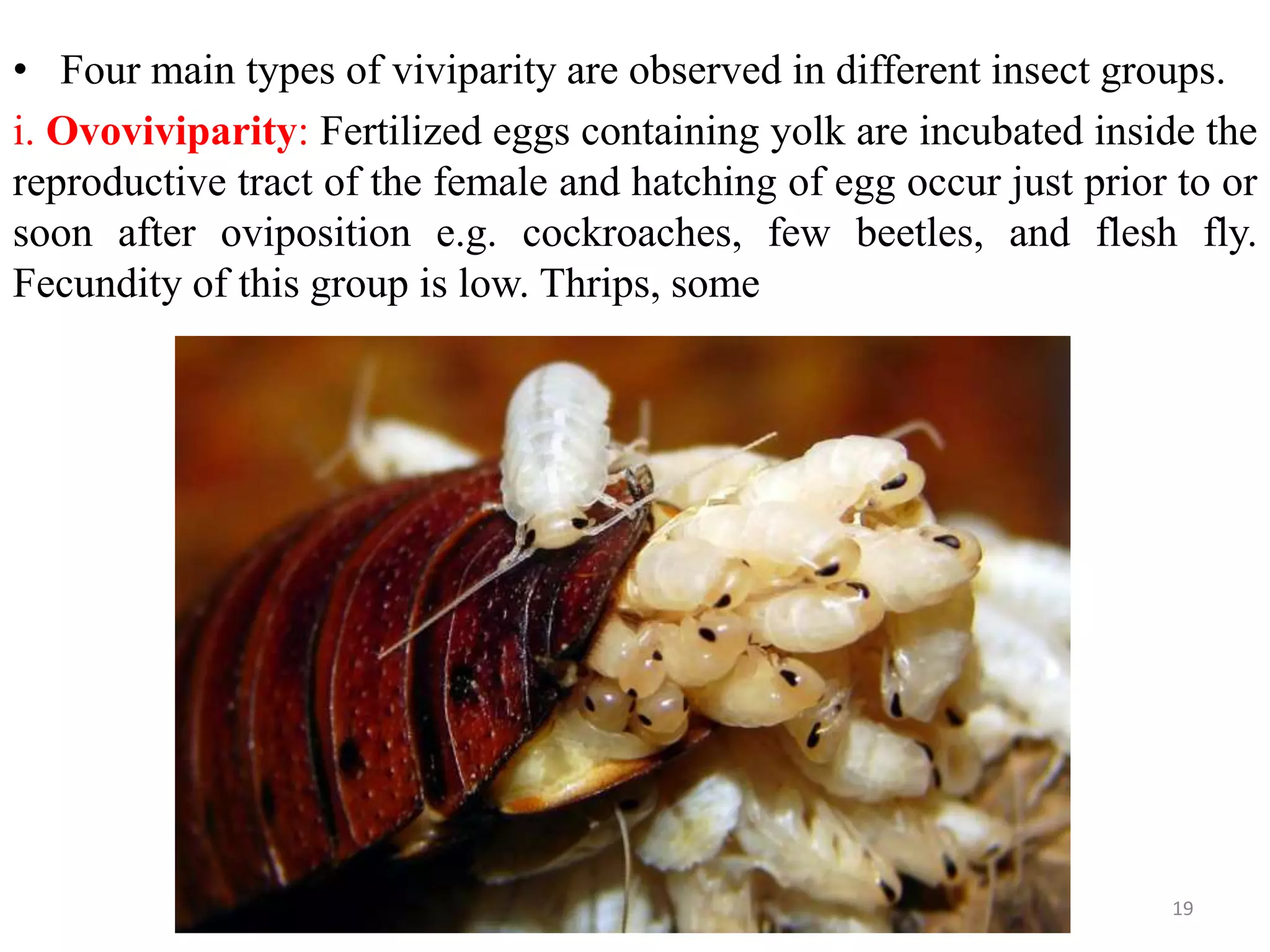 Reproductive system | PPTX