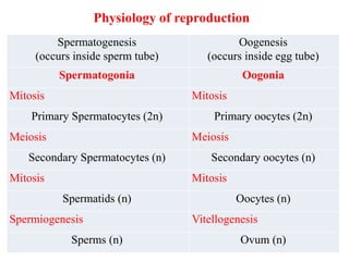 Reproductive system | PPTX