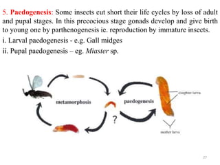 Reproductive system | PPTX