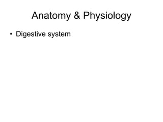 182-Anatomy-Digestive-System-of-human-body.ppt