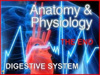 182-Anatomy-Digestive-System-of-human-body.ppt